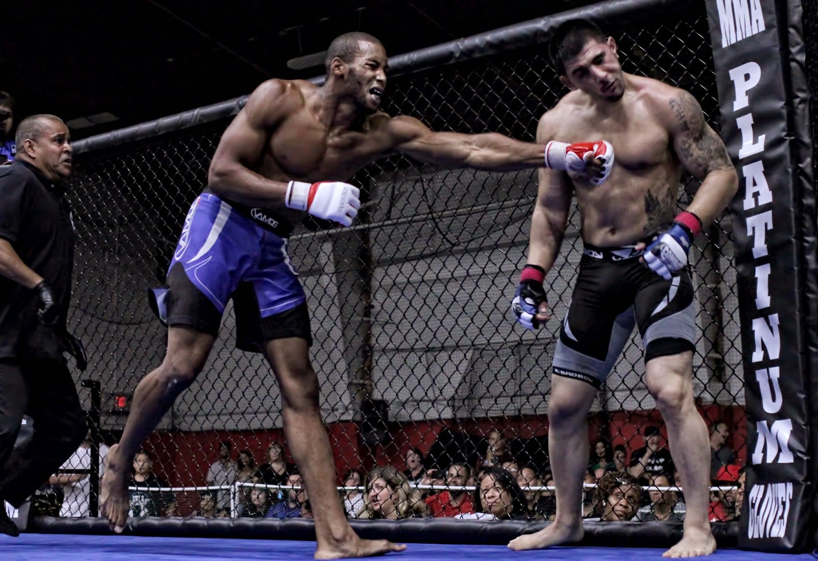 The MMA Journalist: Check Out These Pics From the Last MMA Platinum Gloves