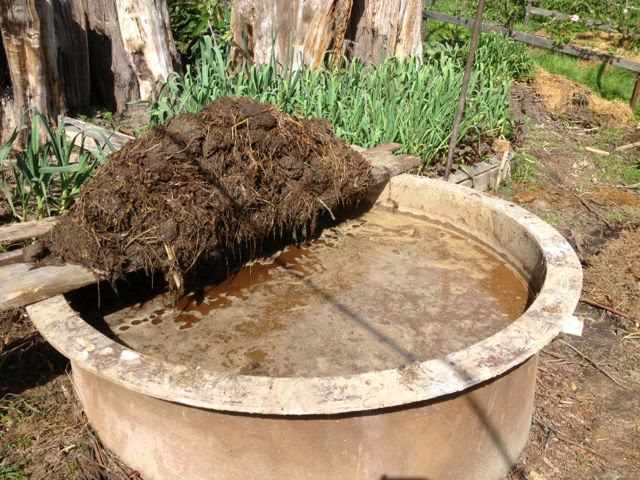 The Food Garden Group Blog: Composting with Clay