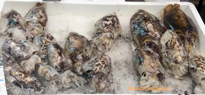 Sepionet a la plancha | Mandarinas y miel