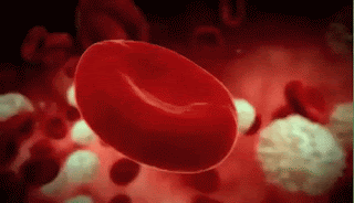 BLOOD, THE STREAM OF LIFE :)