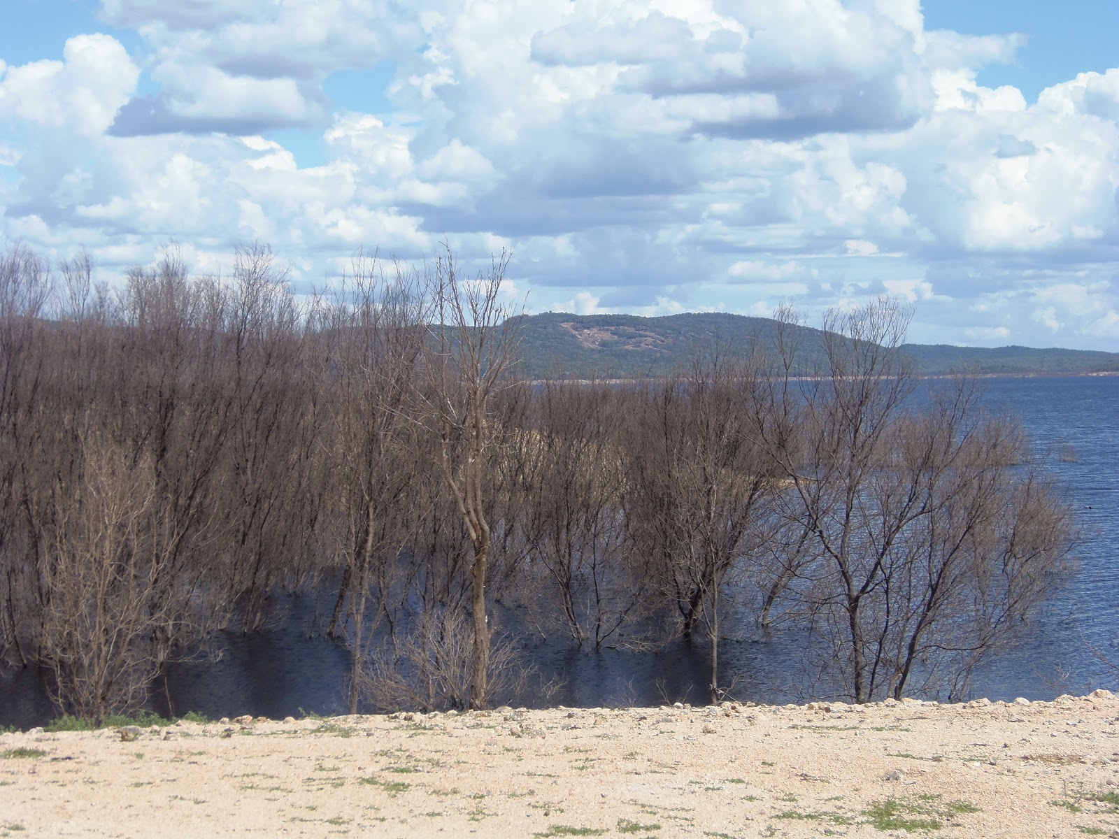 Solo Steve On The Road: COPETON DAM NORTHERN FORESHORE