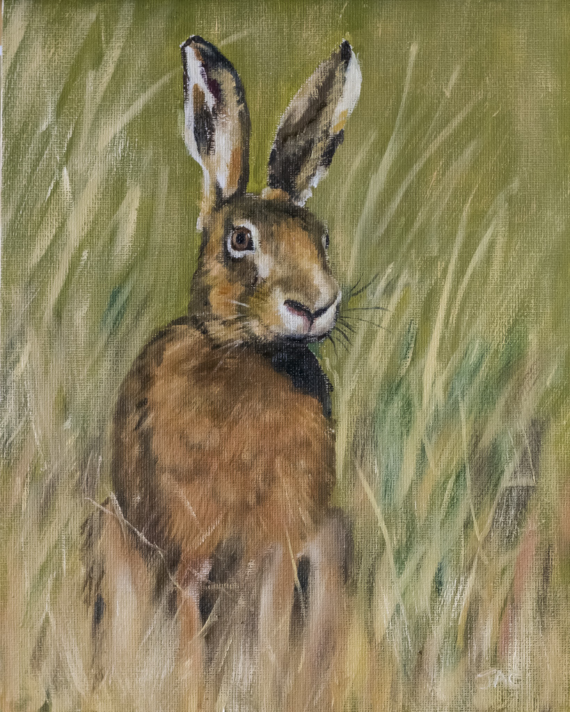 Bird and Wildlife Photos from Somerset and Devon : Painting the Bonny ...