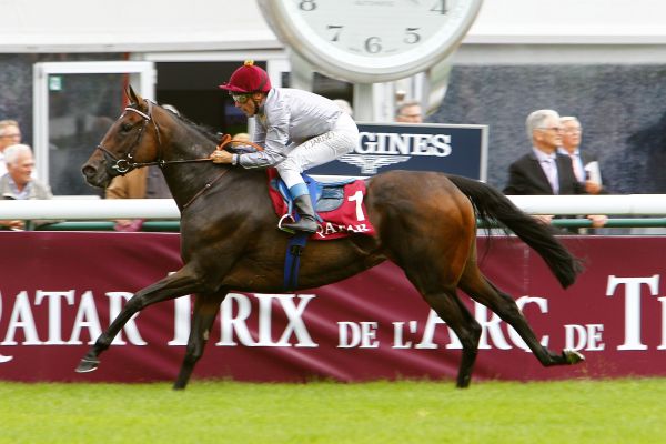 TREVE TURF