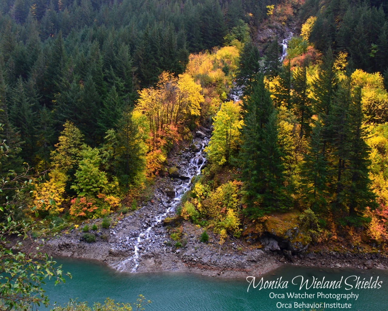 Orca Watcher: The North Cascades and Methow Valley
