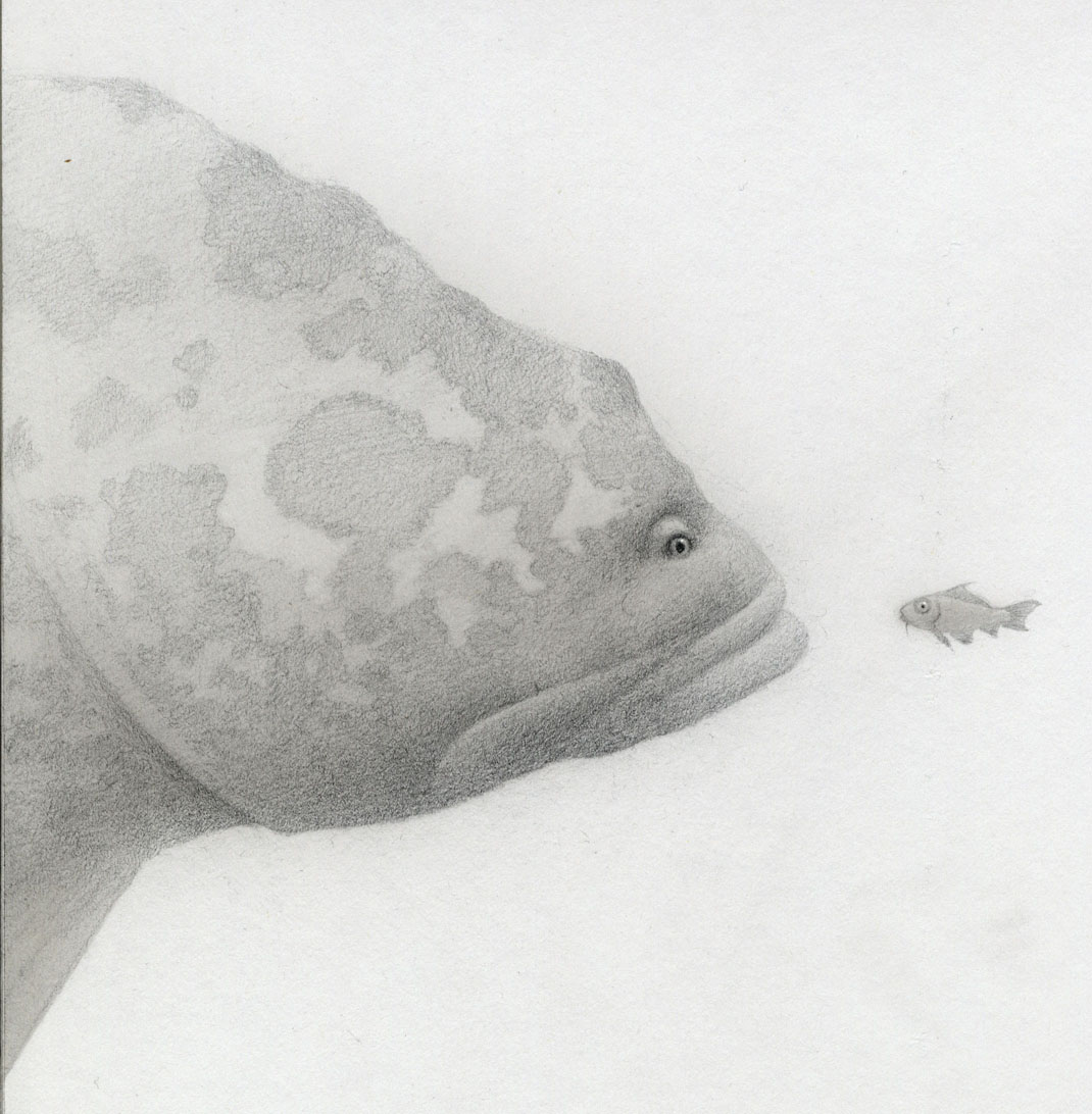 Graphite Bestiary: Drawings