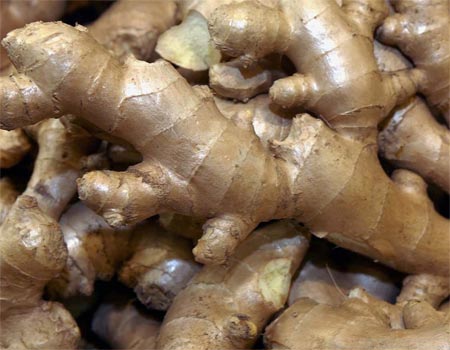 Edra Farm: Budidaya Jahe dan Analisa (lengkap)