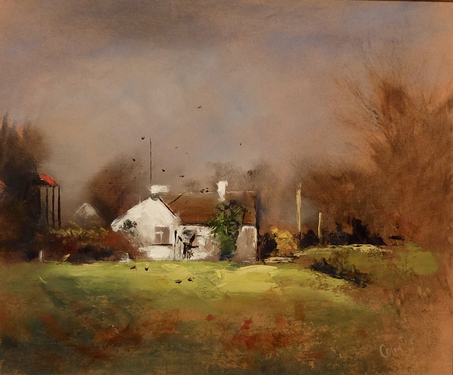 Colm Butler - Artist