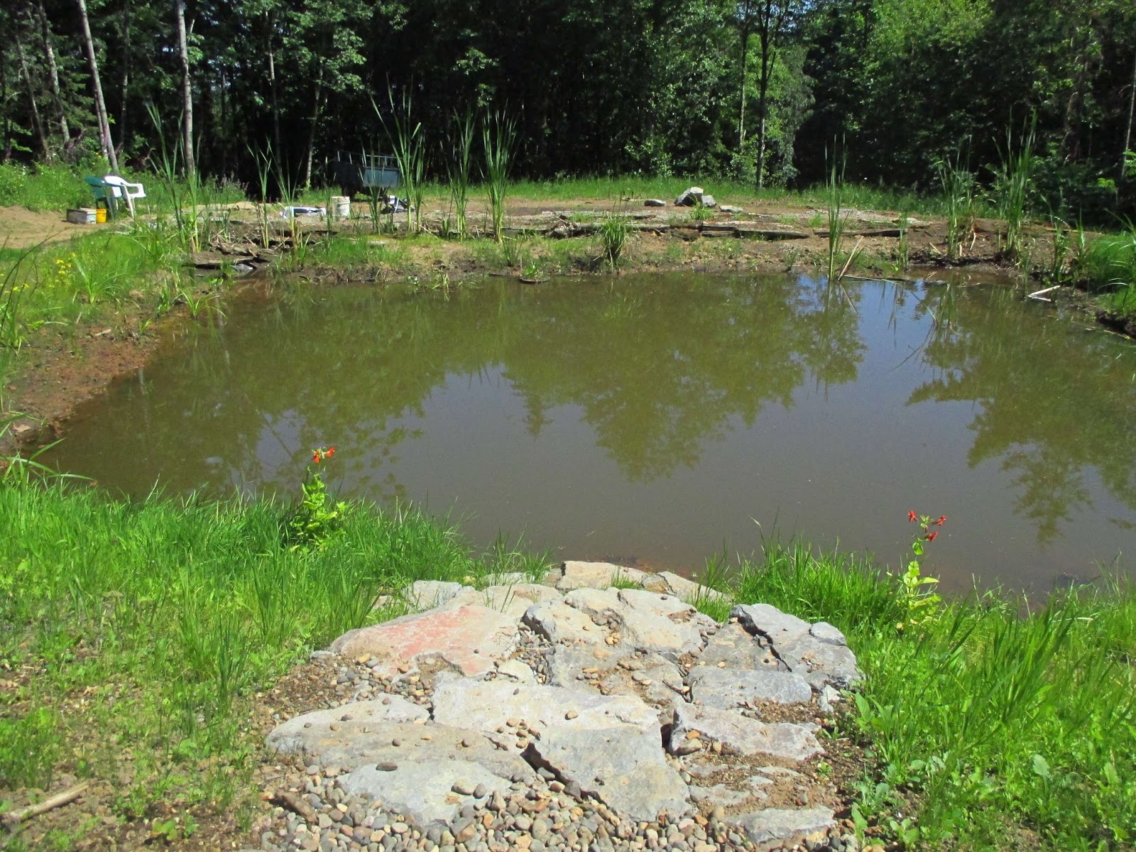 MOUNTAIN TOP POND: Pond 2 History