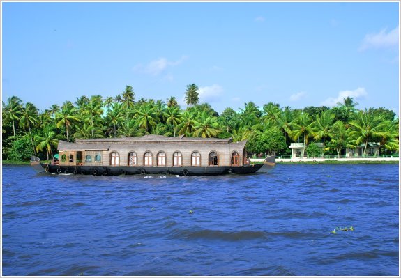 amazing cochin / kochi : Backwaters of Kochi