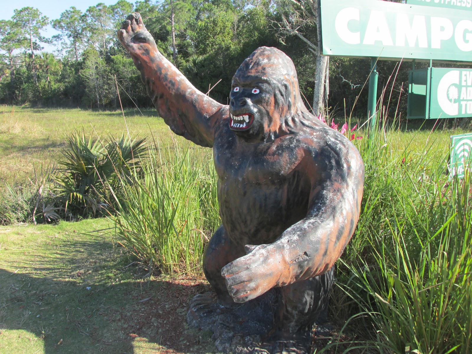 Eccentric Roadside: Swamped with controversy: The Florida Everglades' Skunk Ape Research ...