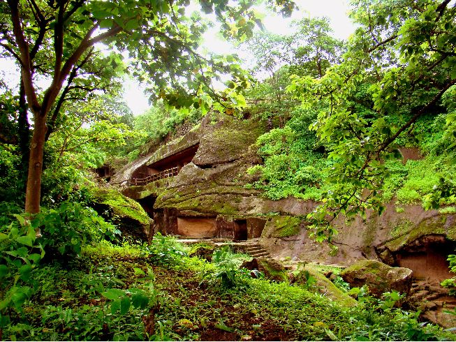 Beauty Of Nature: Hirva nisarg