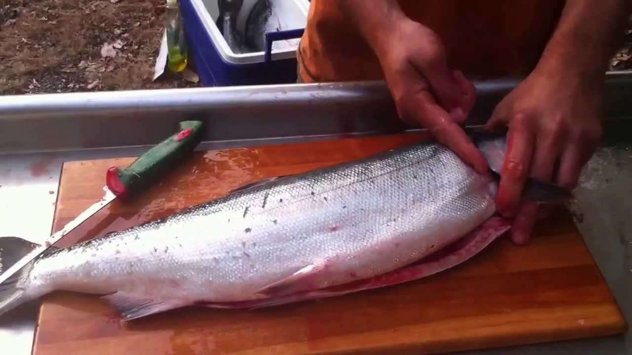 Buying Bangus Fish Fillet and How to Fillet It - Milkfish Supplier ...