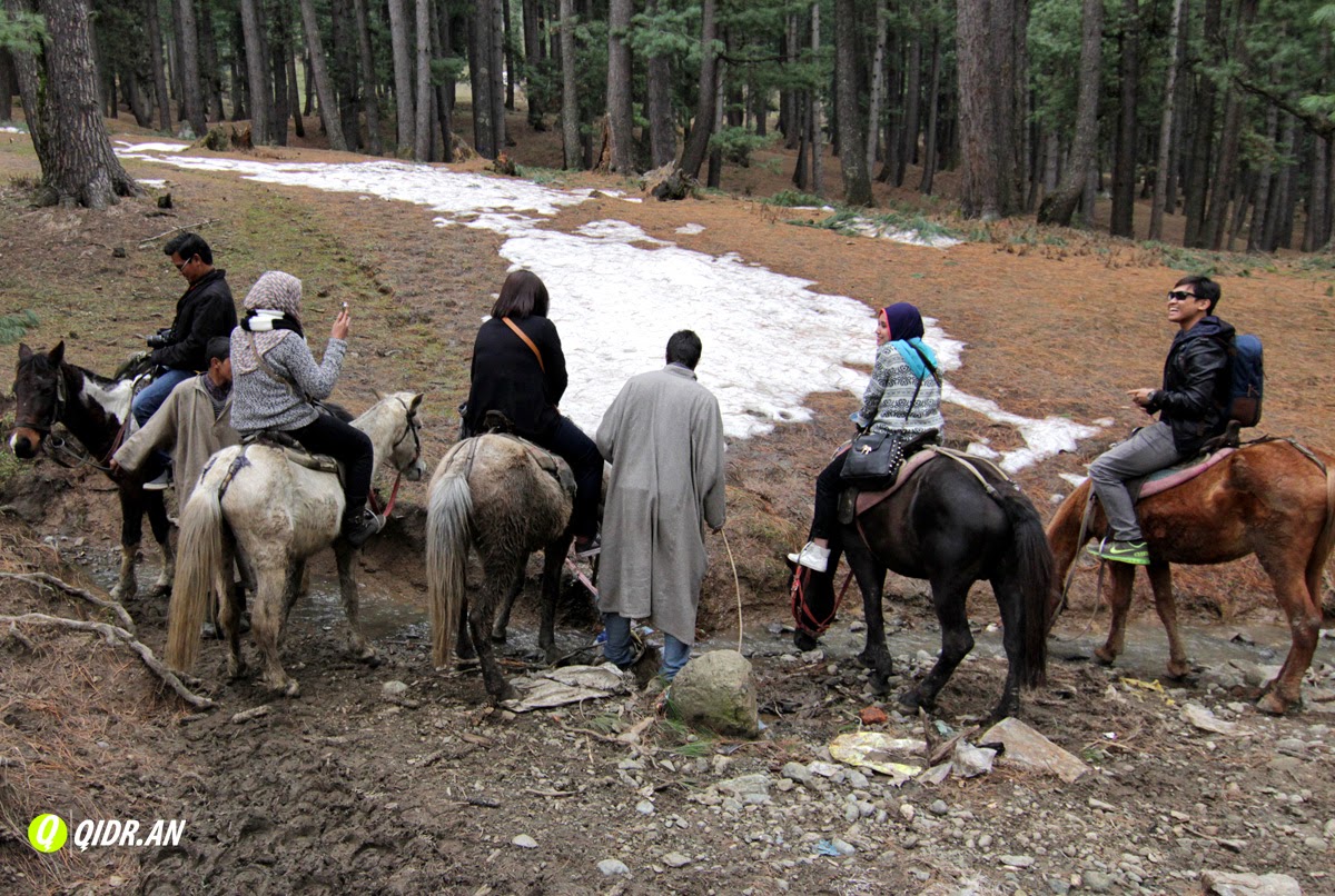 qidr.an ©: Kashmir 2014 | Day 3 Pahalgam : Pony ride
