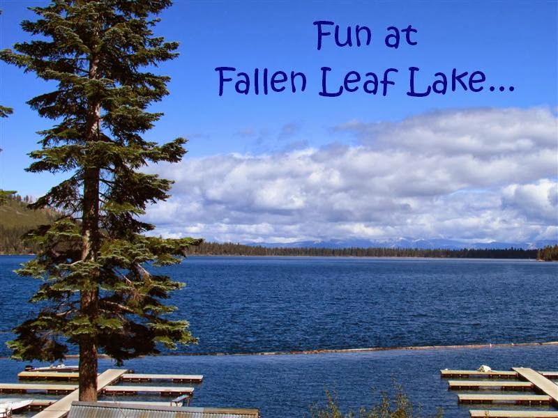 A Fallen Leaf Lake Morning... - HAERR TRIPPIN'