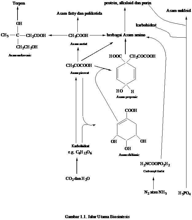 Blog the chemist: KIMIA BAHAN ALAM