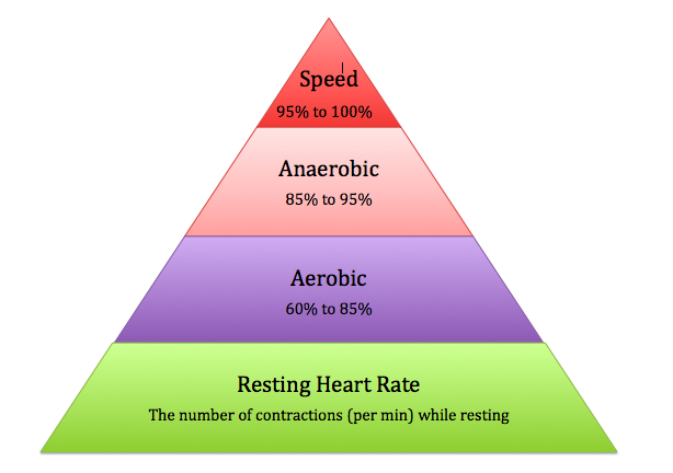 James Hawkins BTEC sport HBL: The training pyramid
