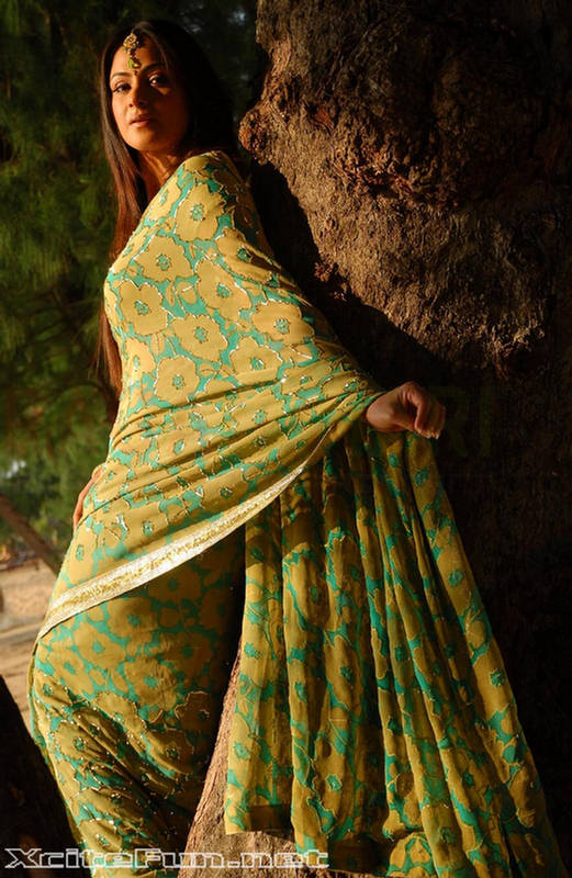 Beautiful Indian Actress Picture-Photo Collection: Simran in Saree www ...
