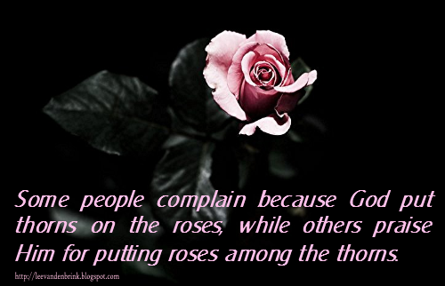 Daylily Quotes: Rose & God...