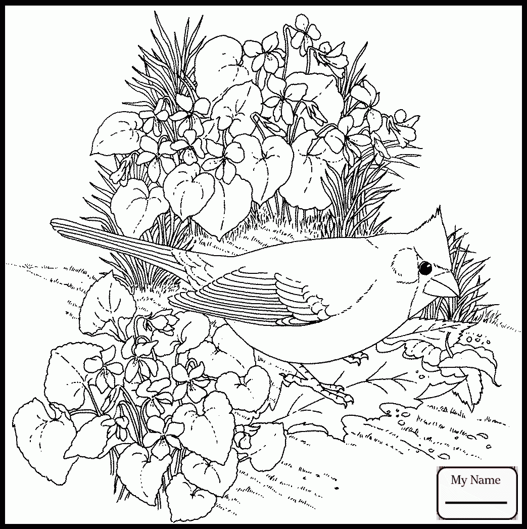 state birds coloring pages - jiahajava