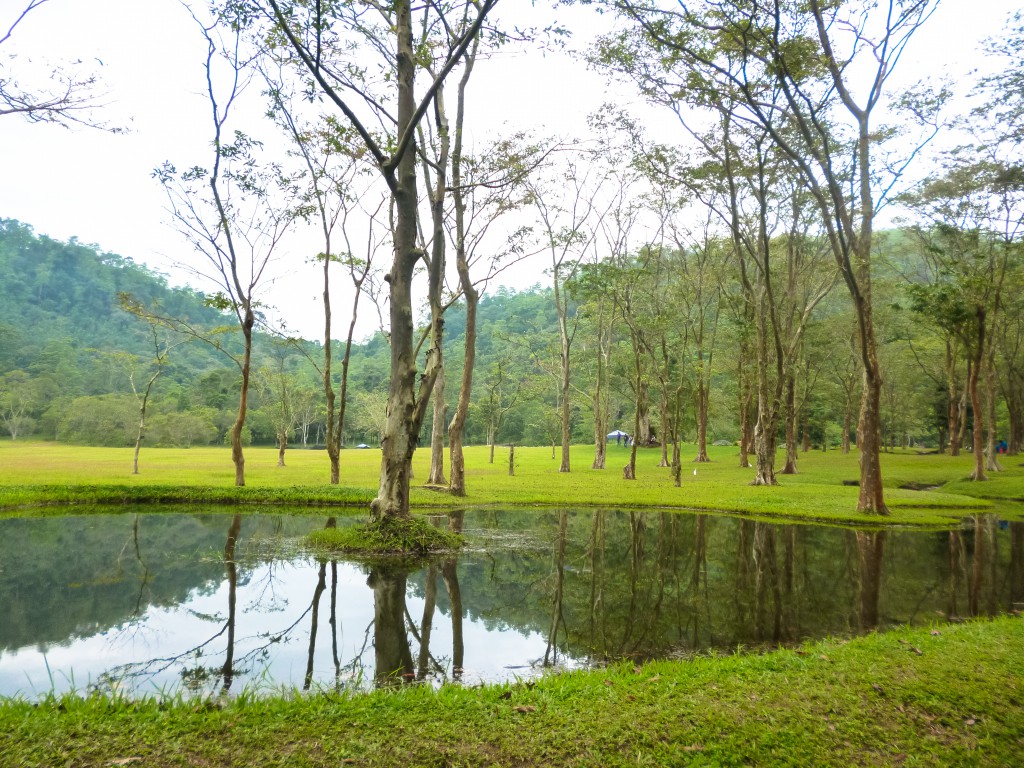 රට වටේ: සීතාවක උද්භිත උද්‍යානය - Seethawaka Wet Zone Botanic Gardens