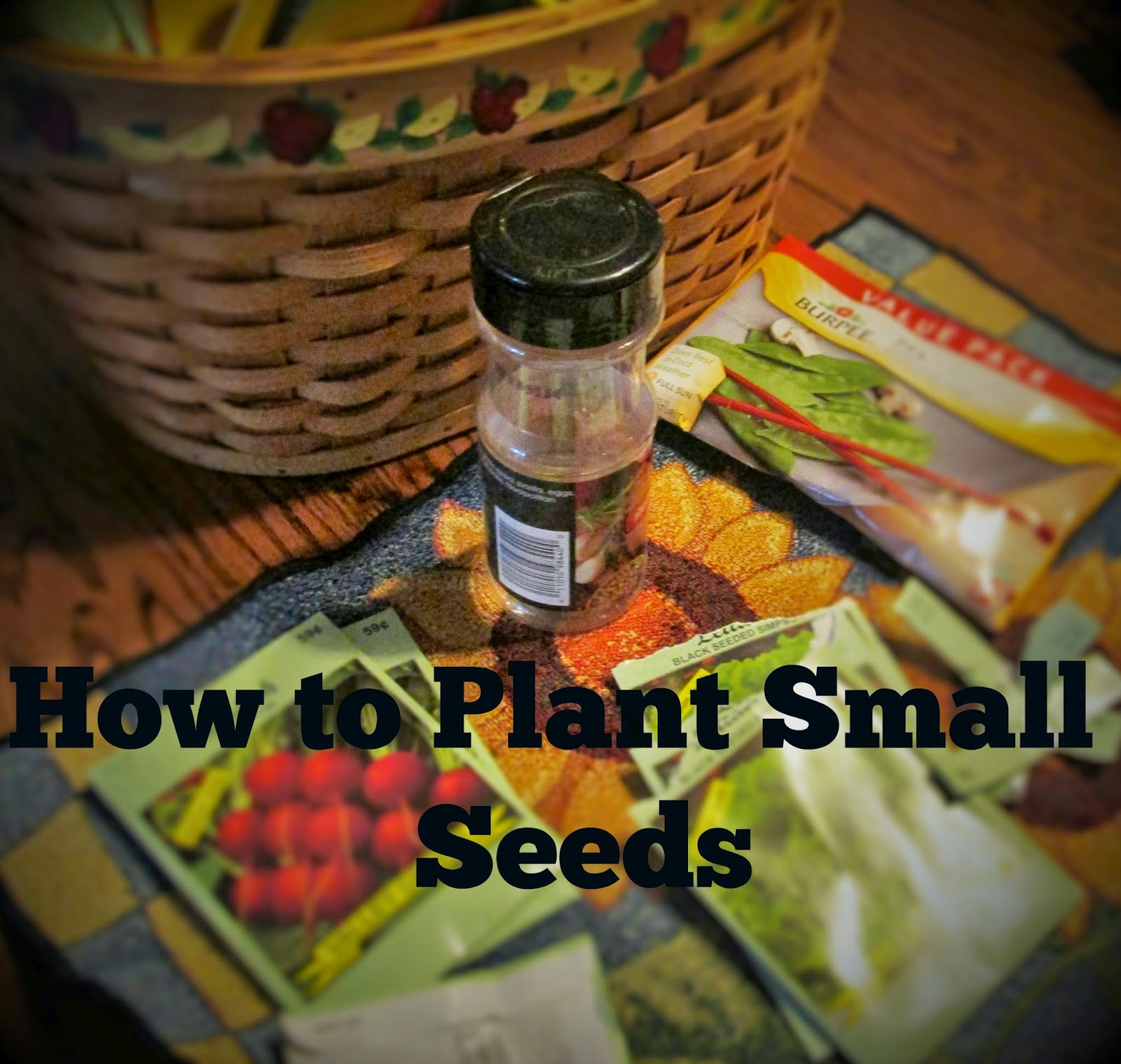 Vickie's Kitchen and Garden: In the Garden: How to Plant Small Seeds
