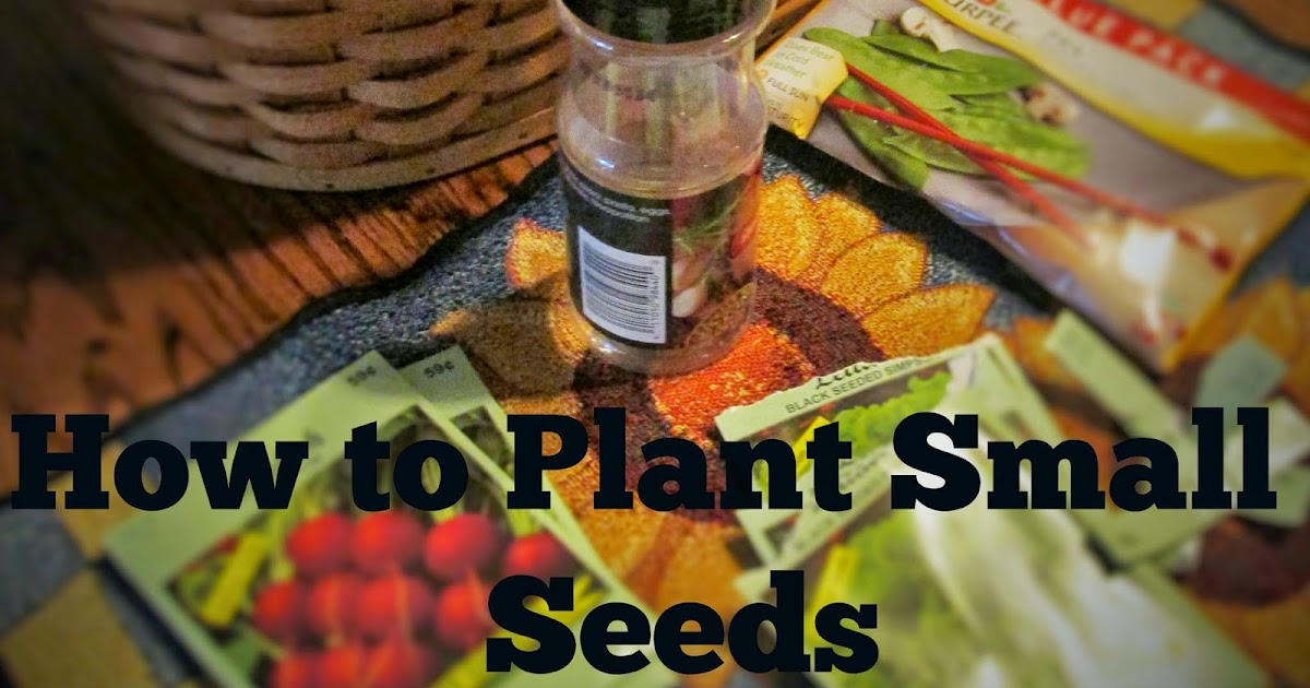 Vickie's Kitchen and Garden: In the Garden: How to Plant Small Seeds