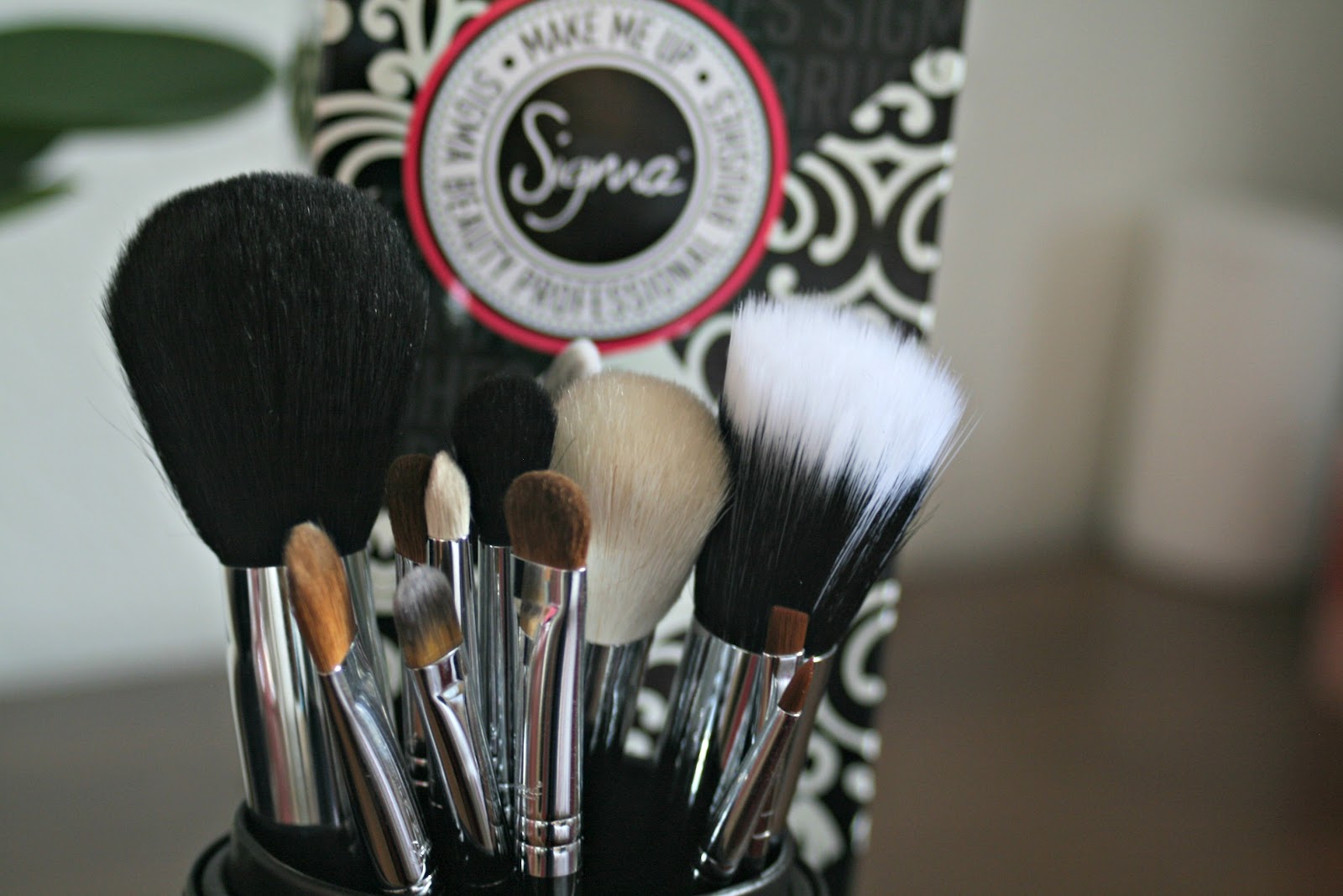 Moonshine: Sigma Make Me Classy Brush Set Initial Thoughts/Review