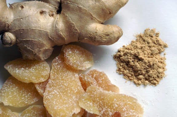 Bird House Diaries: Baking Class: Introduction to Ginger