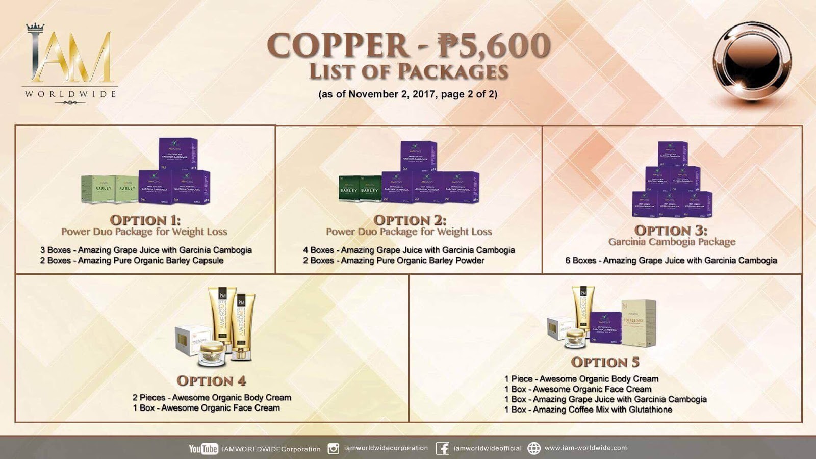 Copper Package -₱5,600 - IAM Worldwide Business