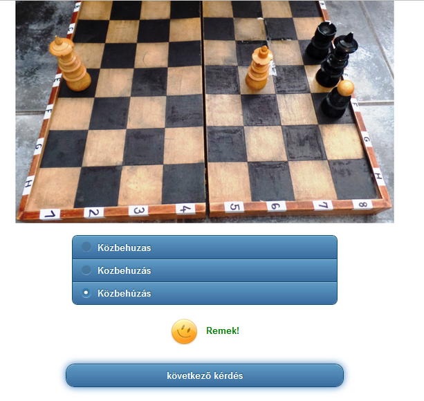 Sulyok Ábris Dániel blogja: Hogyan írjuk helyesen? – Szavak a sakk ...