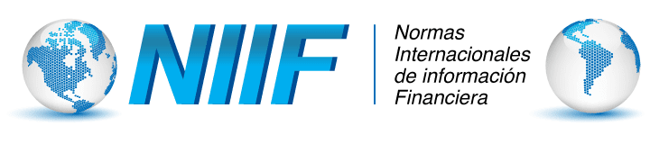 NORMAS INTERNACIONALES DE INFORMACIÓN FINANCIERA - NIIF