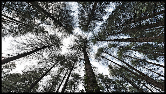 Manali Nature Park,Himachal pradesh,India | Travel life journeys