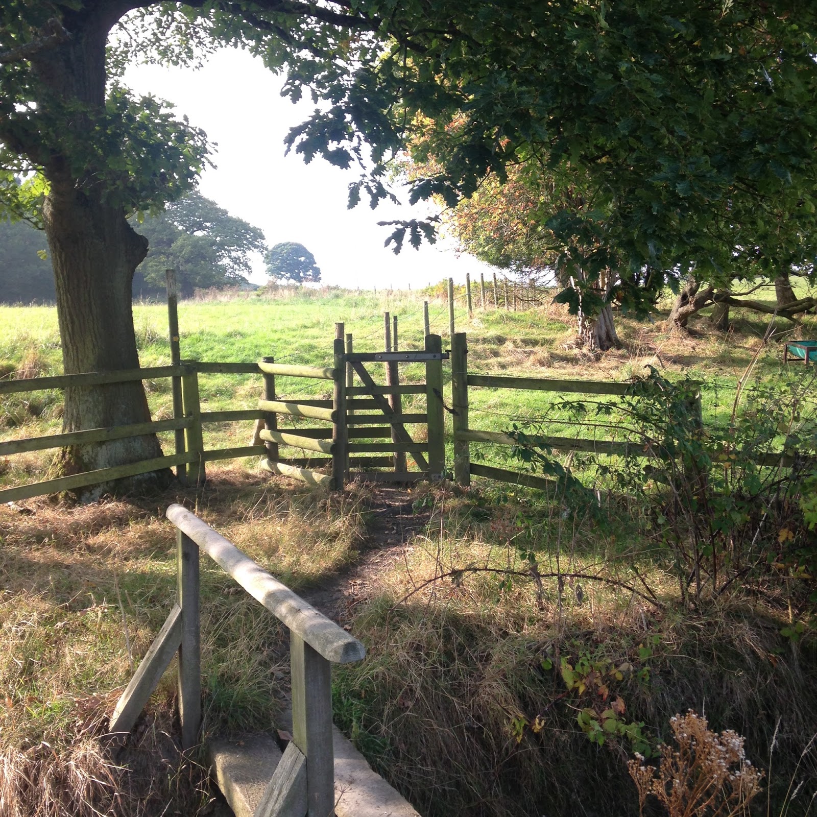 Maghull Meanders: Ashurst Beacon Loop