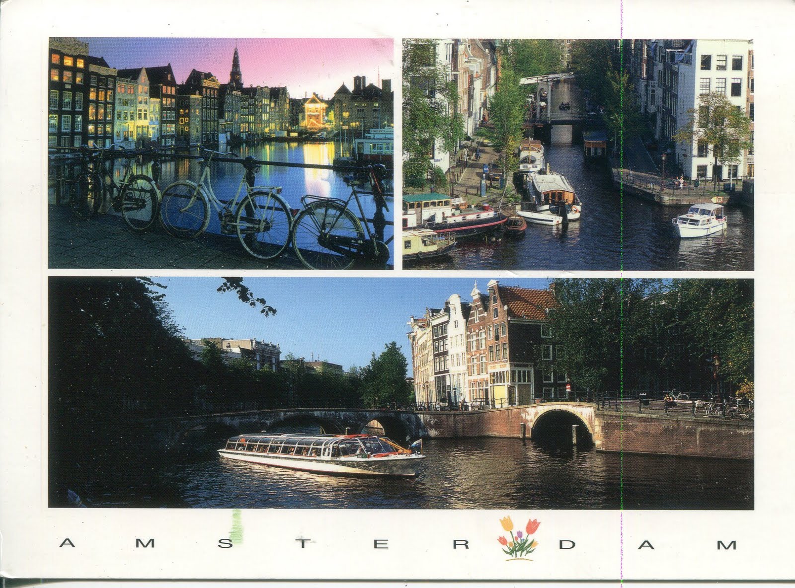 collect ROC: Netherlands Postcard: Amsterdam,