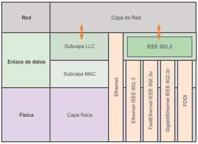 Ingeniería Systems: Subcapas LLC y MAC - CCNA1 V5 - CISCO C5