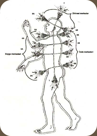 Kişisel Gelişim Üzerine Çalışmalar: ÇAKRA Nedir?