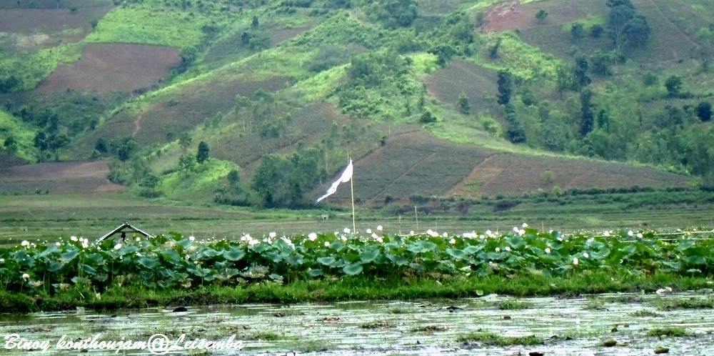 Manipur Landscape