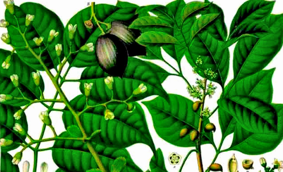 San Pascual, Batangas: Historic and Folkloric Notes about some of its ...