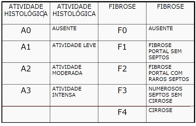 A vida com Hepatite C: Tabela Metavir