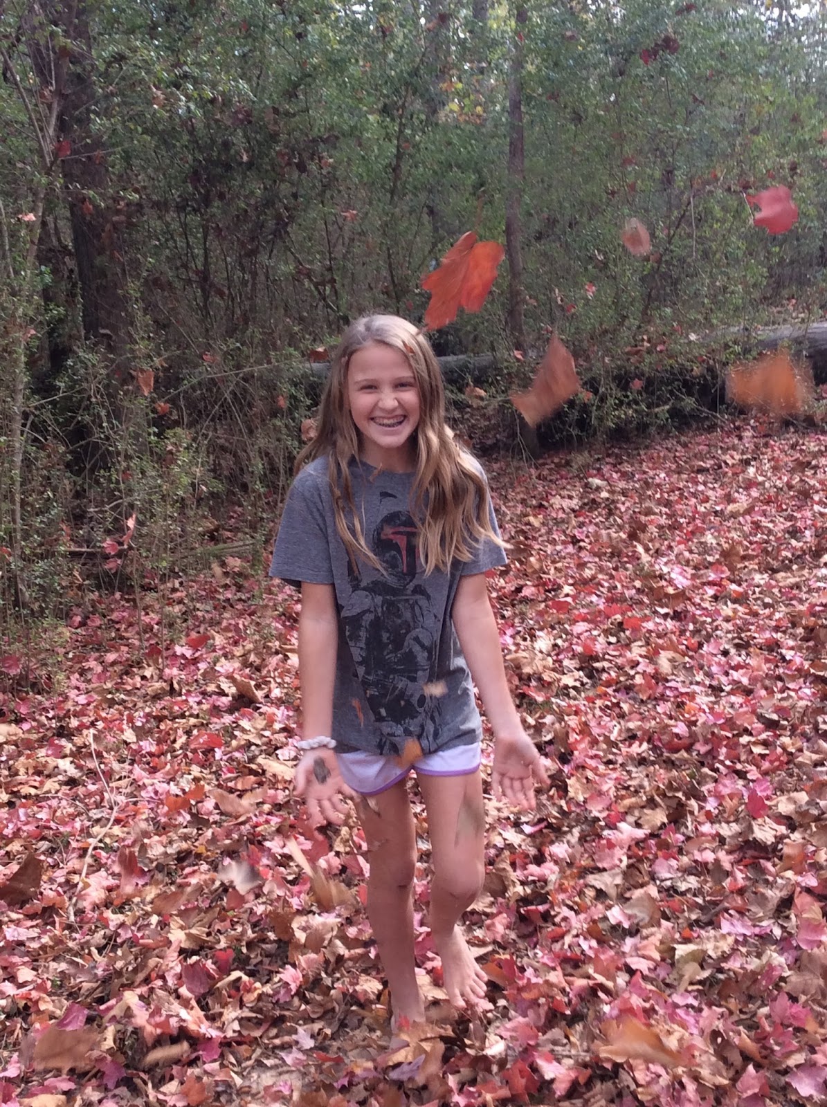 My Barefoot Farm: Fall Leaves