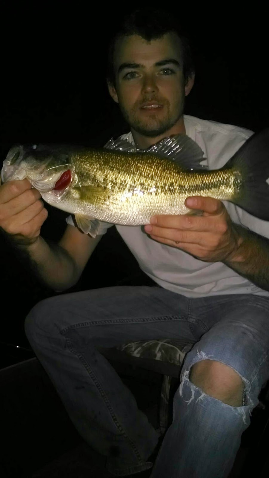 Wren Fishing: We are Cactus Wren Outdoors!