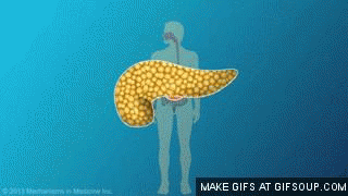 BIENVENIDO AL MUNDO DE LAS CIENCIAS