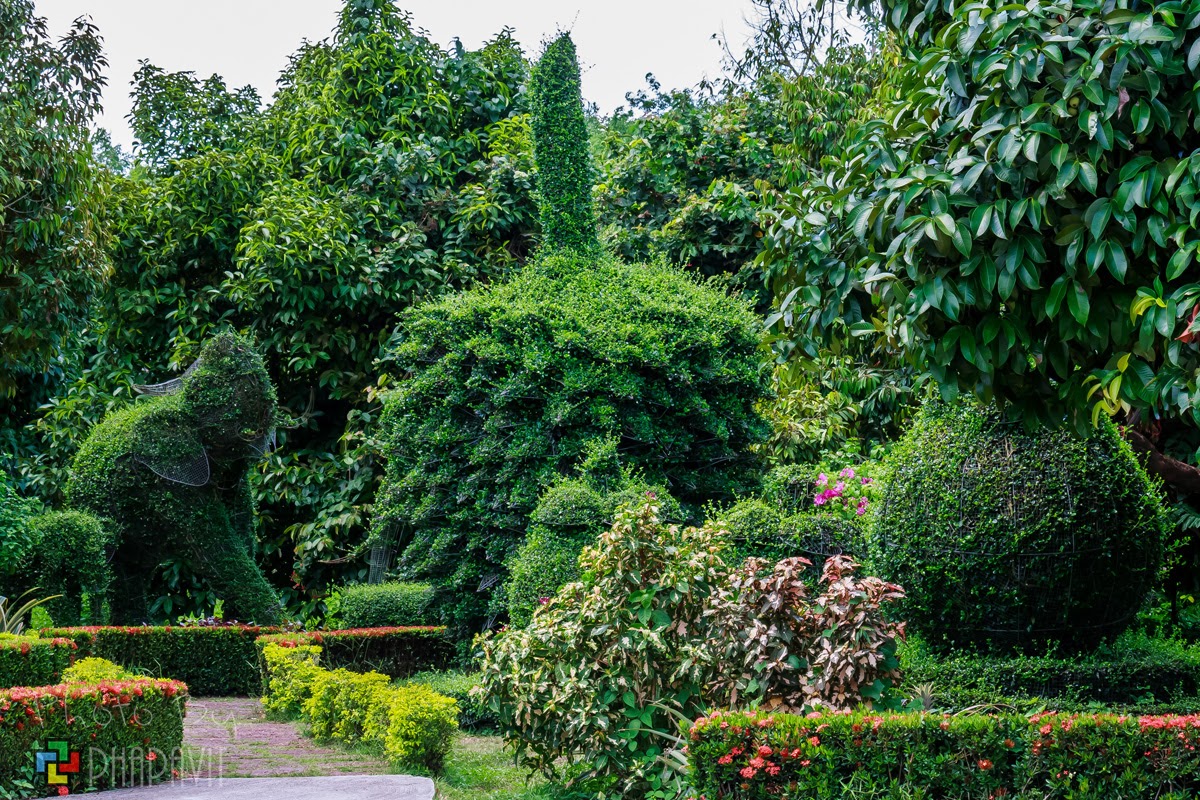 สวนสุภัทราแลนด์ (Suphattra Land) สวนบุฟเฟ่ต์ผลไม้ - ที่เที่ยวบล็อก