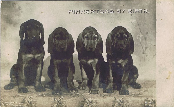 Idaho Meanderings: James McParland, Pinkerton Detective, Dies