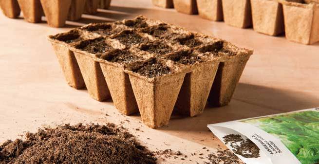 Como hacer un Semillero en 8 pasos - Libros Agronómicos