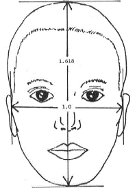 Dictionarul Lui Dumnezeu: Numarul de aur - Sirul Fibonacci - proportii ...