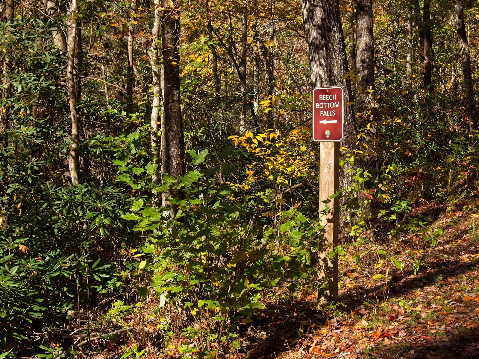 A Visit to Beech Bottom Falls and Sassafras Mountain Overlook Tower
