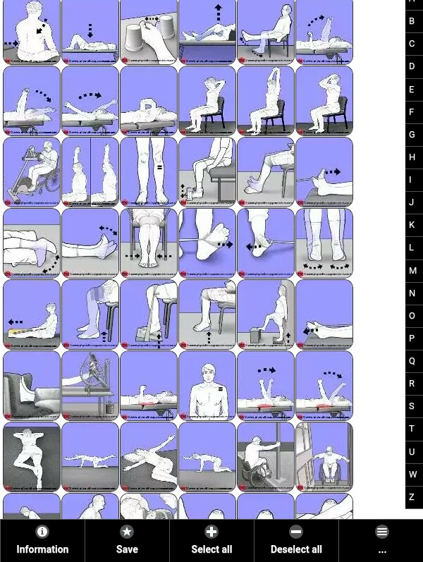 Everything Physio | How to Create an Exercise Program Online