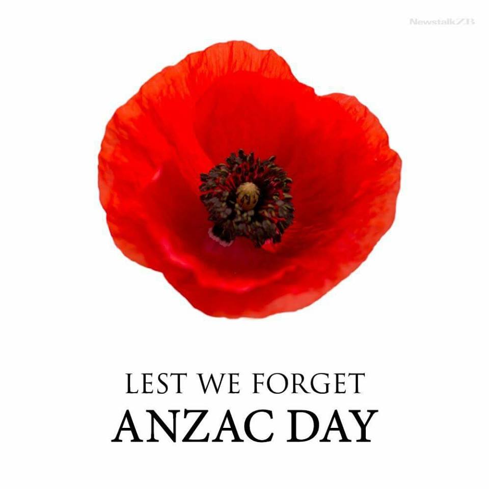 THE ROAD TAKEN : Opononi on the Hokianga Harbor