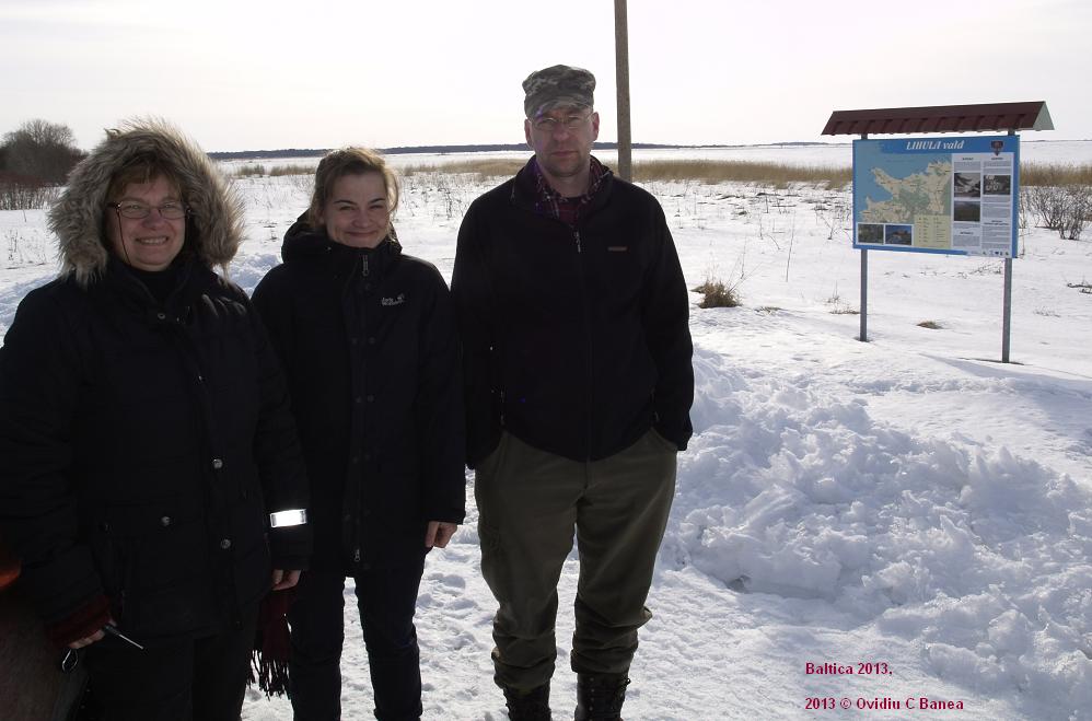 Golden Jackal Canis aureus: Golden Jackal survey in W. Estonia